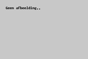 Billy Footwear Black to the Floor Canvas Mannen - zipperenzo.nl